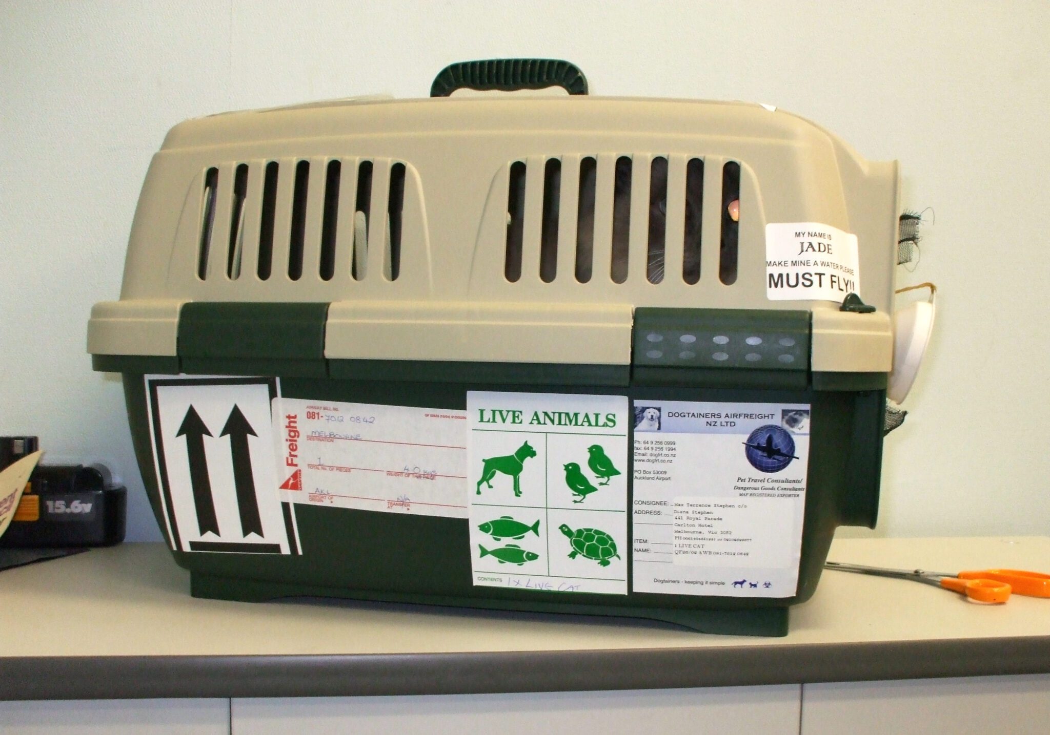 Rabies antibody titer test for pet travel (dogs and cats) | SUPERIOR ...
