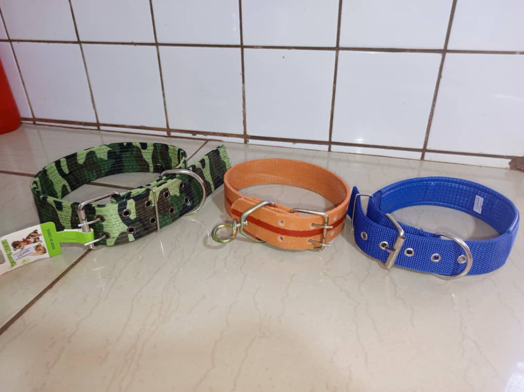 Dog collars. | SUPERIOR ANIMAL CLINIC