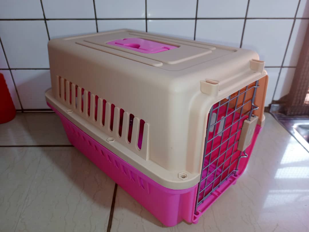 Premium Cat/Puppy Crate | SUPERIOR ANIMAL CLINIC