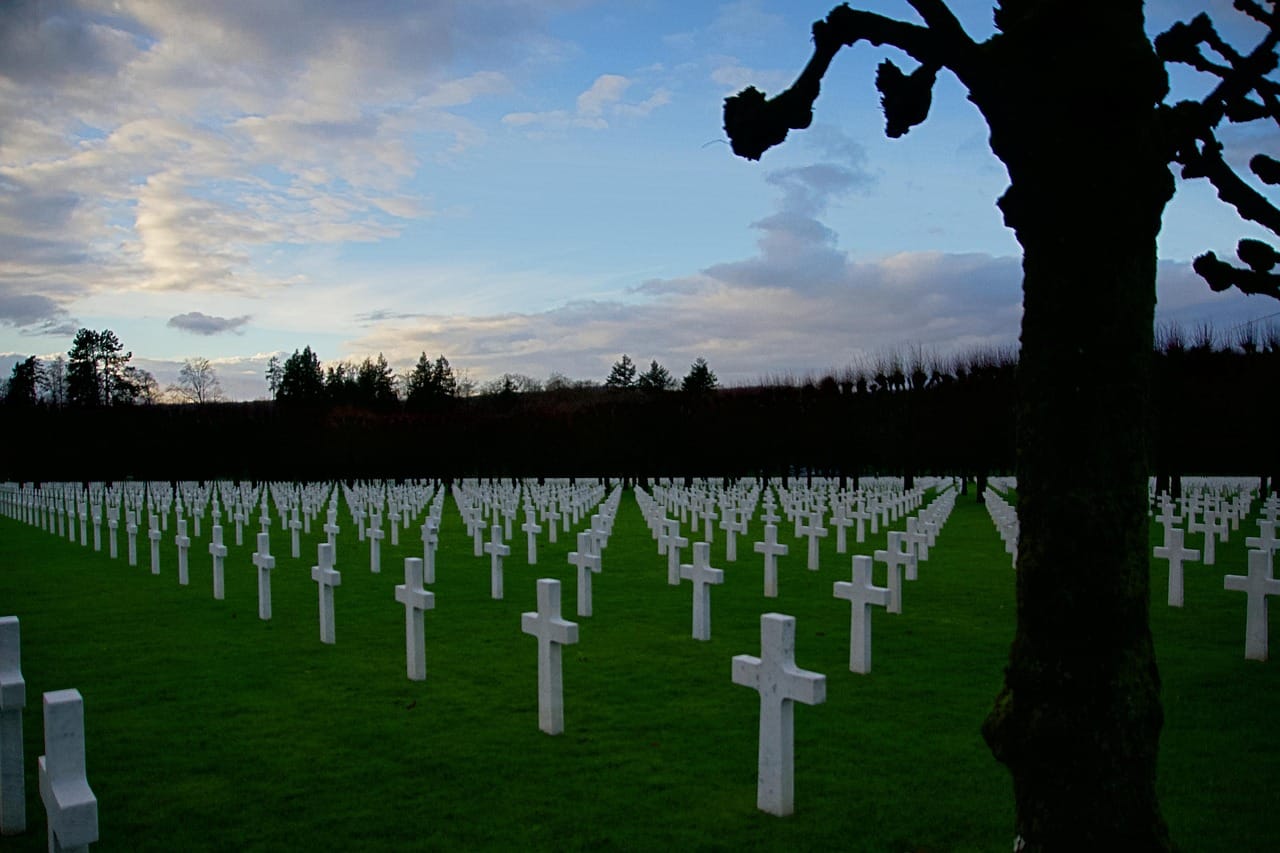 Cat Funeral Services or Disposal | SUPERIOR ANIMAL CLINIC